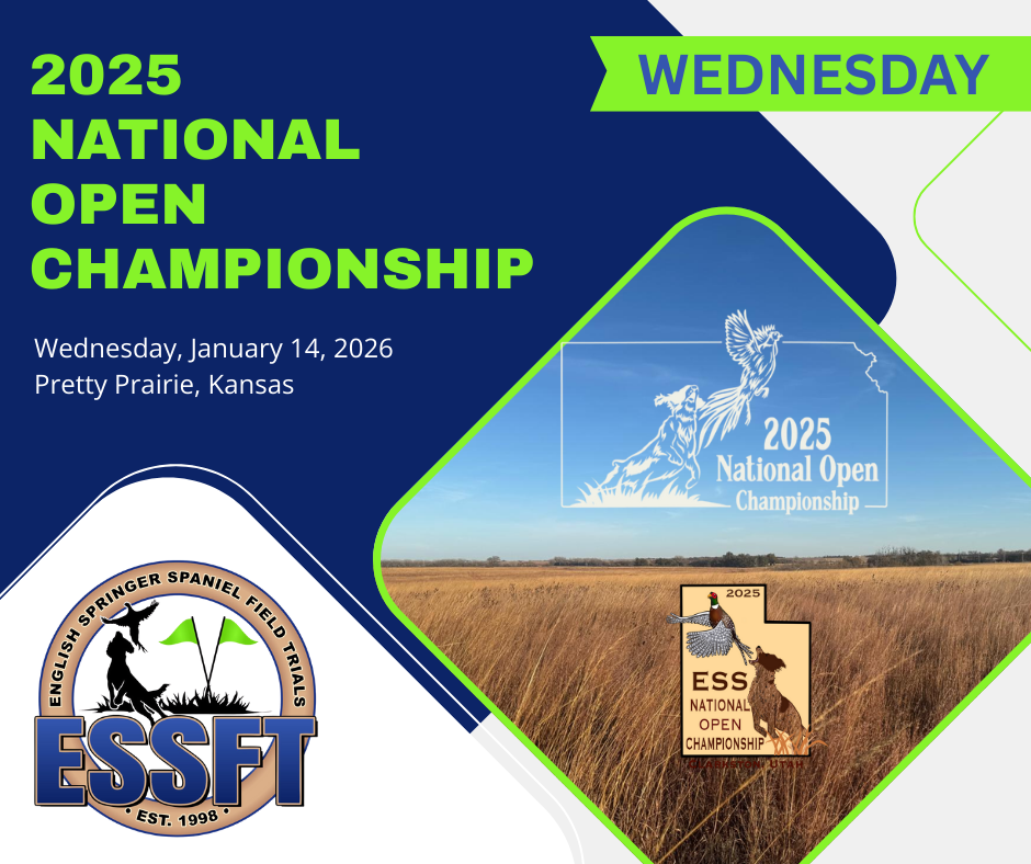 National Open Championship – Daily Update - Wednesday, January 14, 2026 ...